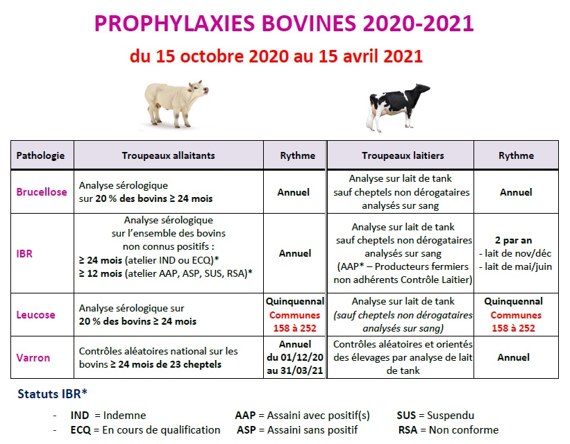 Prophylaxies obligatoires par espèces